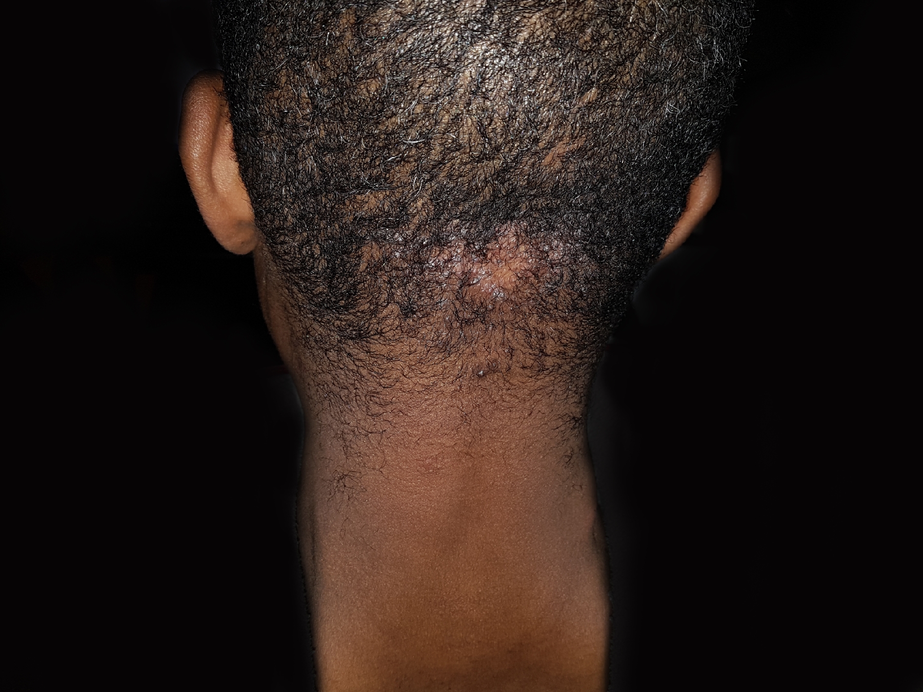 Avril 2016: 11-04-2016